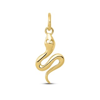 Men's Polished Snake Charm 10K Yellow Gold | Kay